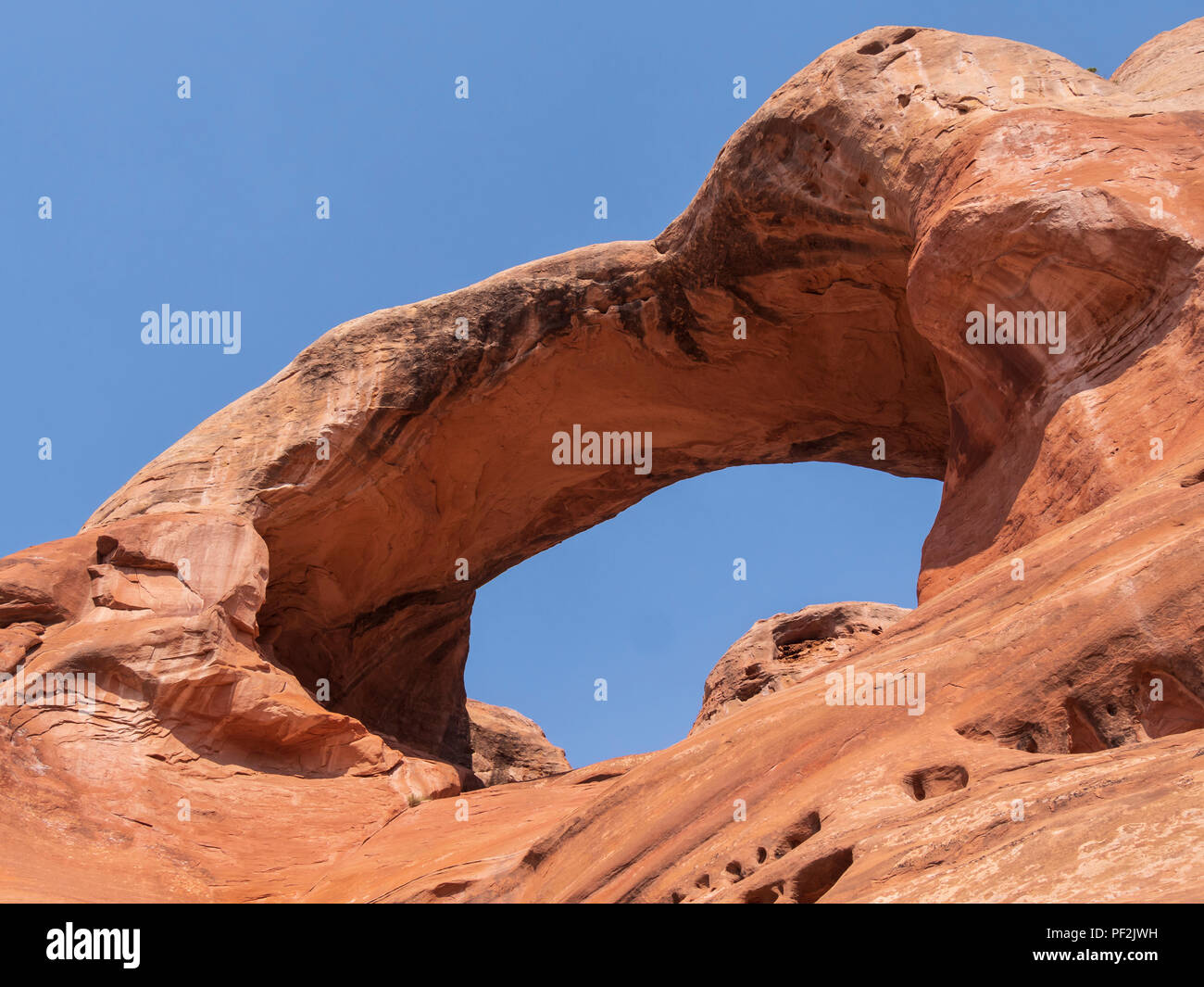 Cedar tree arch colorado hi-res stock photography and images - Alamy