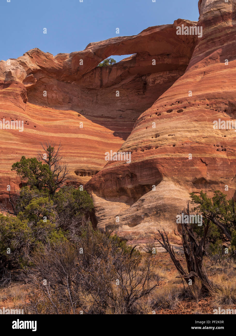 Eye Arch, Rattlesnake Canyon, Black Ridge Wilderness Area, McInnis ...