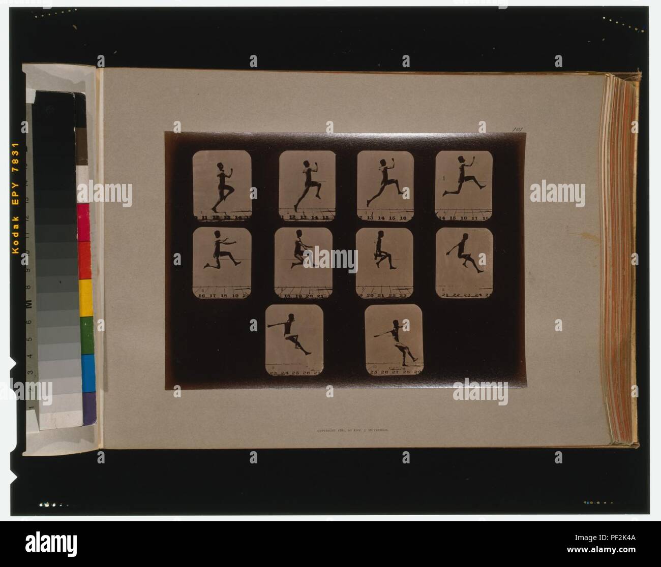 Athletes. Running long leap Stock Photo - Alamy