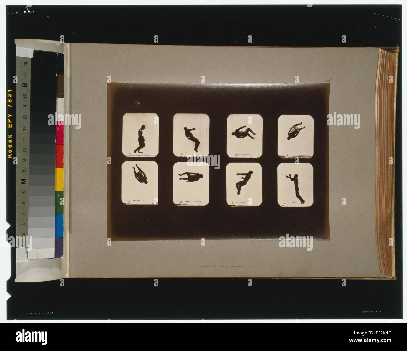 Athletes. Twisting summersault Stock Photo - Alamy