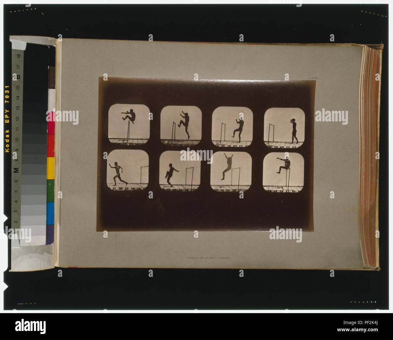 Athletes. Walking high leap Stock Photo - Alamy