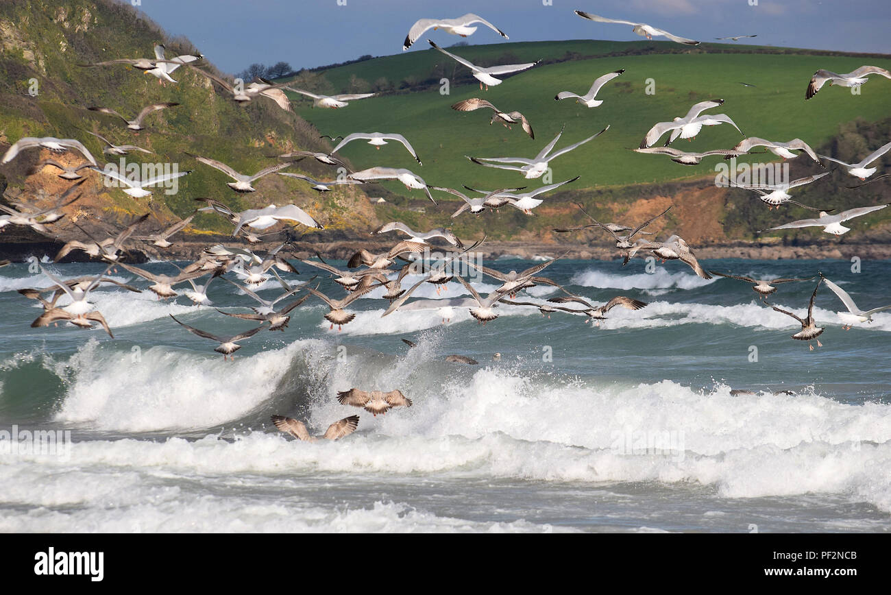 Pentewan Sands, Pentewan, Cornwall, 050218 Stock Photo - Alamy