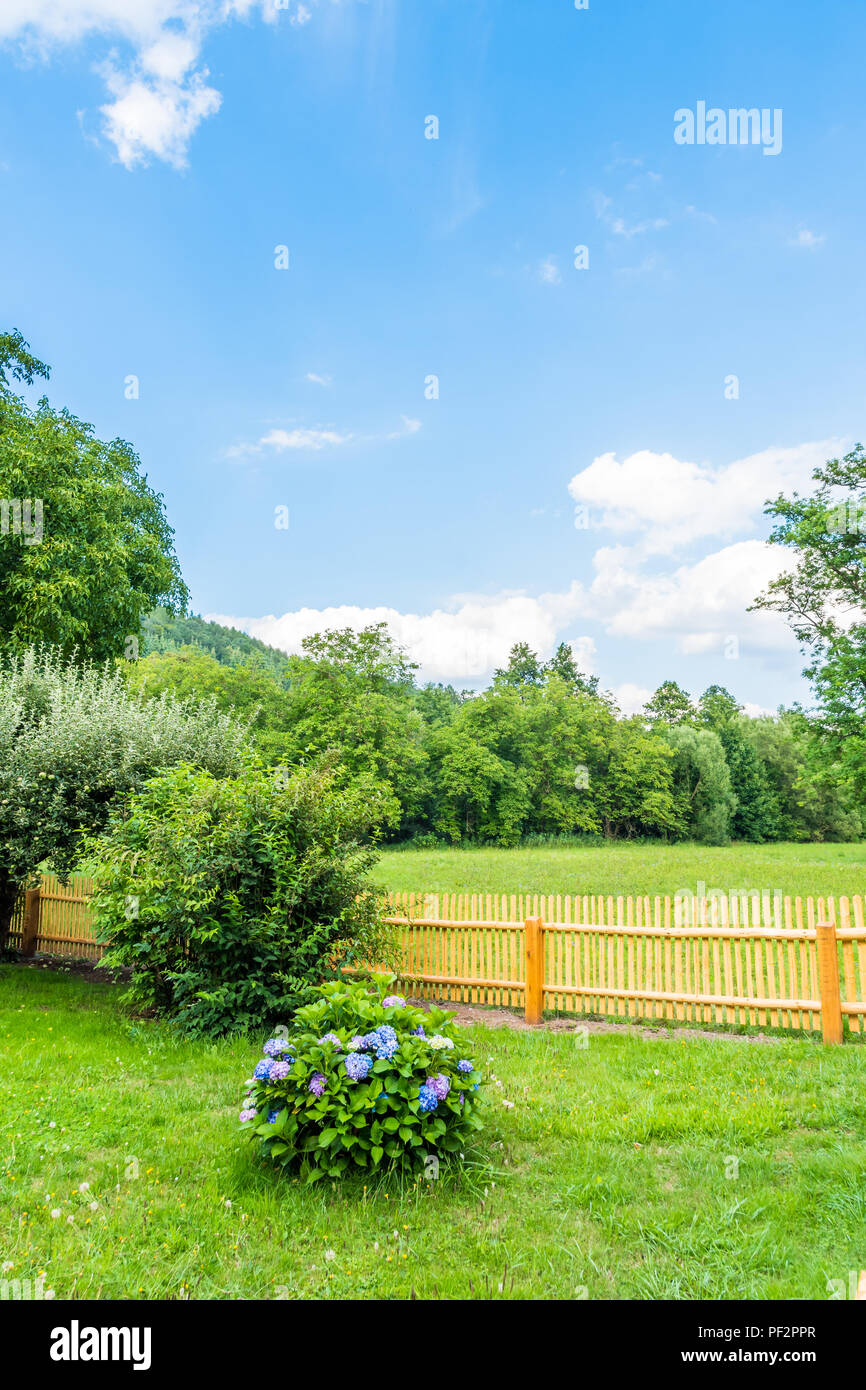 Green Grass Blue Sky Trees