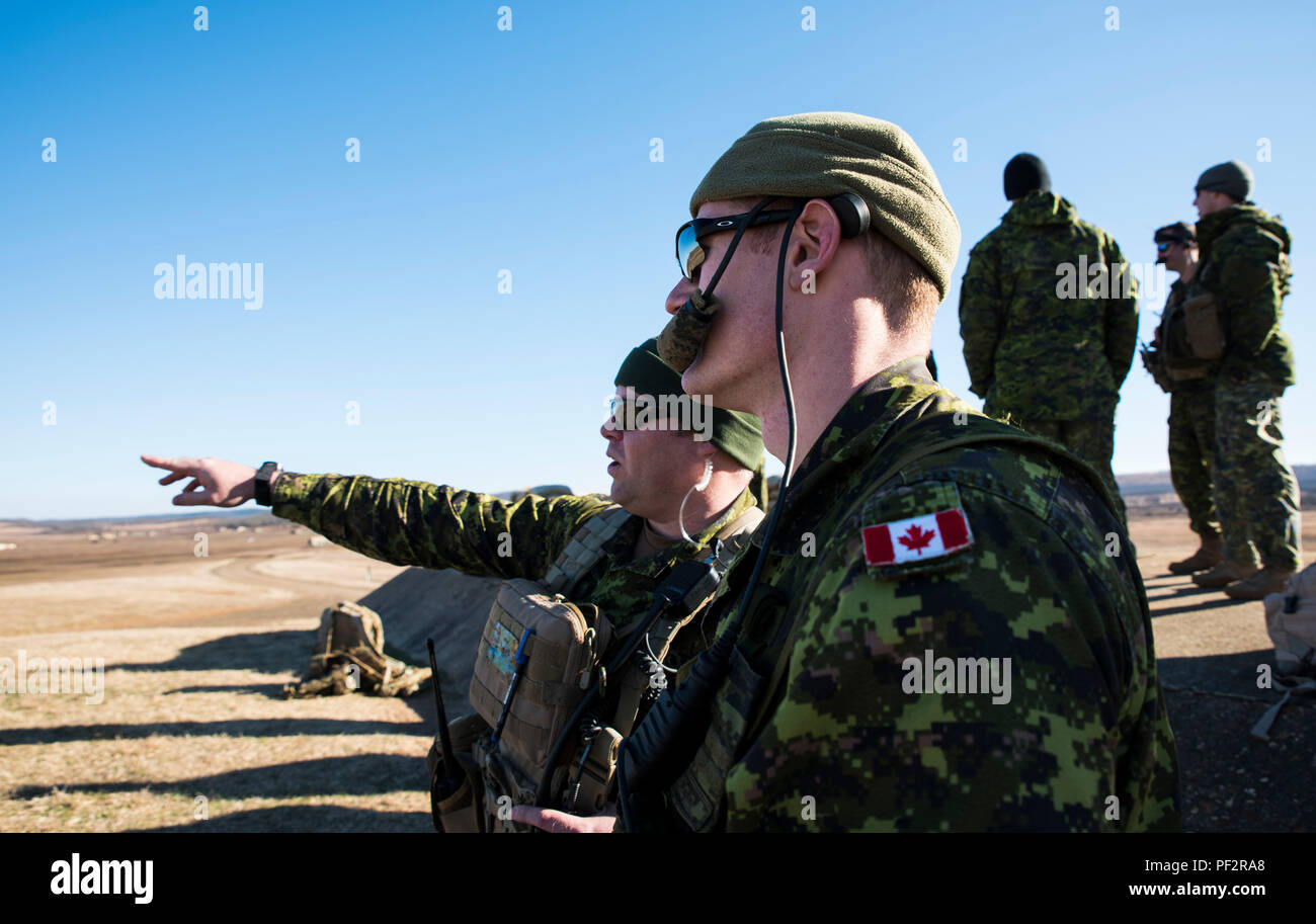 On February 10, 2016, Canadian Joint Terminal Attack Controllers from Y ...