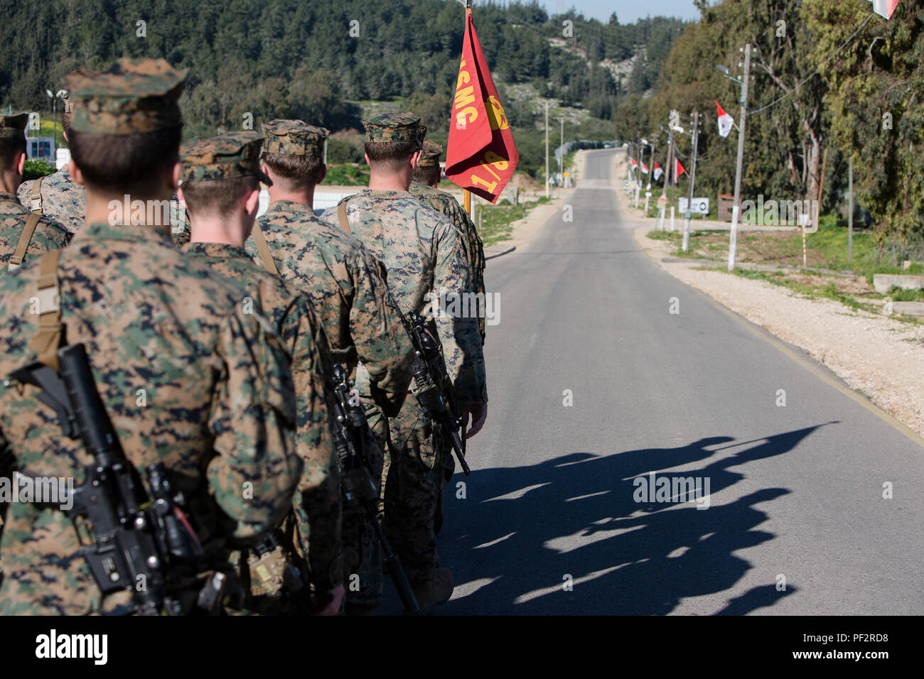 U.S. Marines with Black Sea Rotational Force march in formation during ...