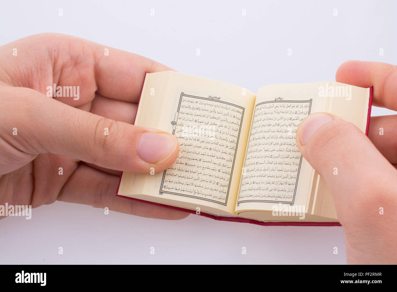 Hand holding The Holy Quran on a white background Stock Photo - Alamy