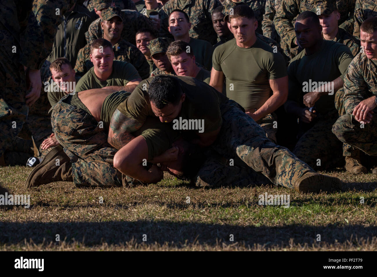 Bottom field obstacle course hi-res stock photography and images - Alamy