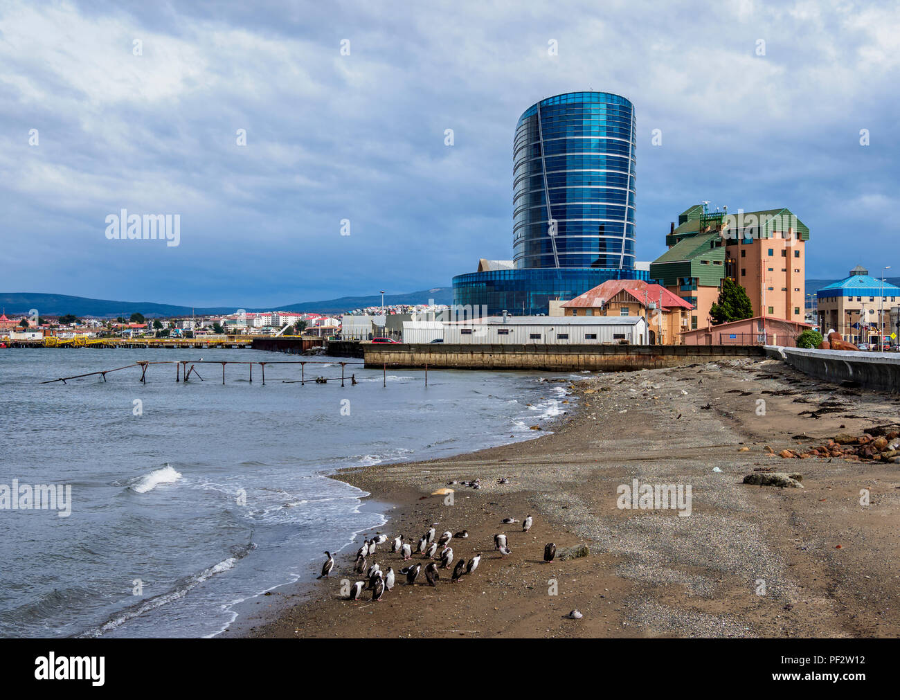 Strait of Magellan Coast, Punta Arenas, Magallanes Province, Patagonia ...