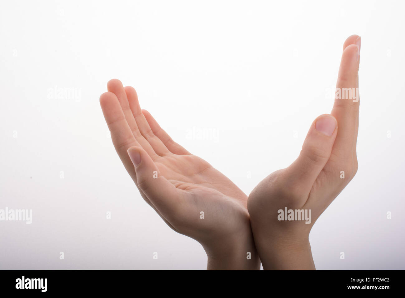 Hand holding on a white background Stock Photo - Alamy