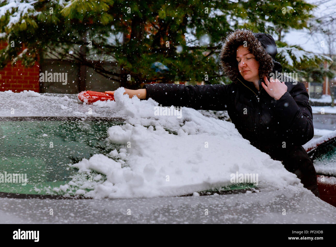 Brushing snow off vehicle hi-res stock photography and images - Alamy
