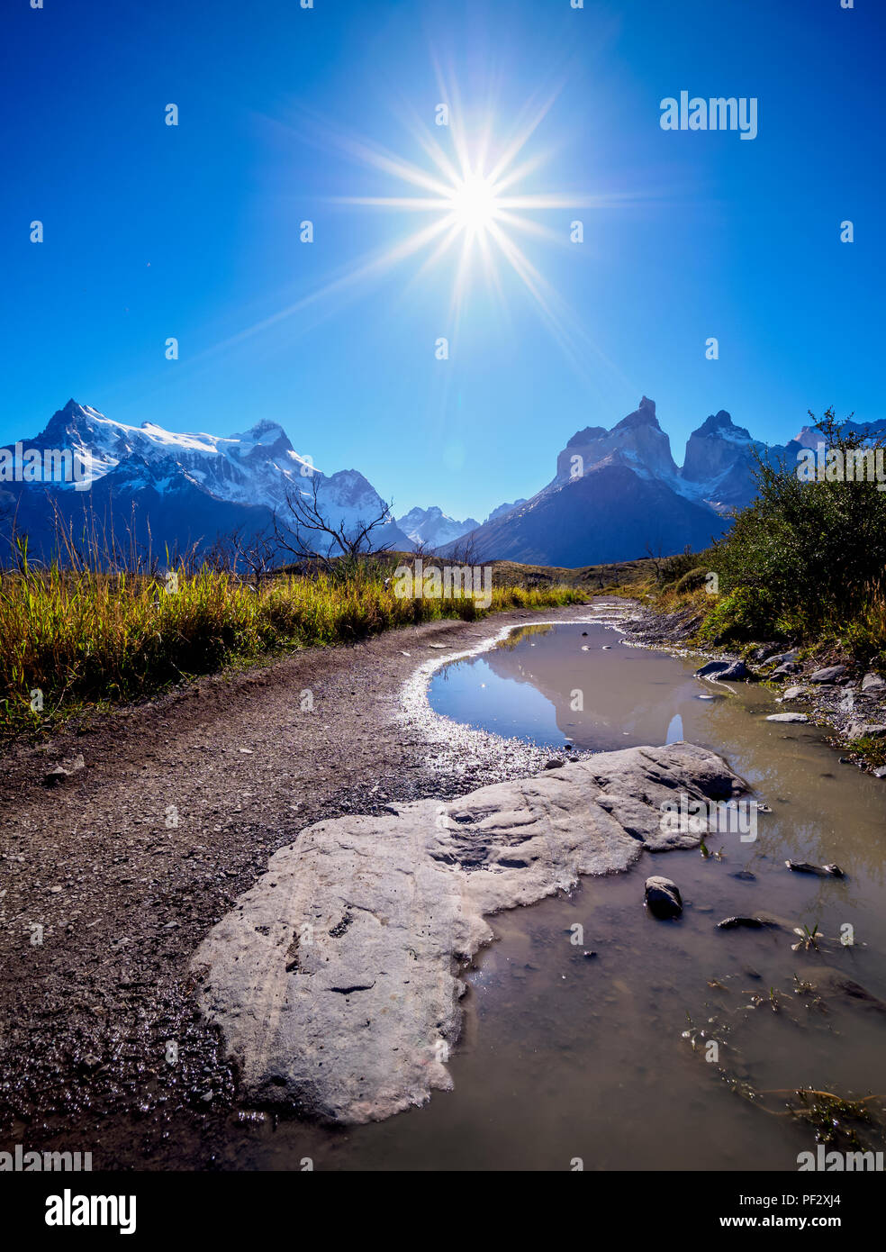 View towards Paine Grande and Cuernos del Paine, Torres del Paine ...