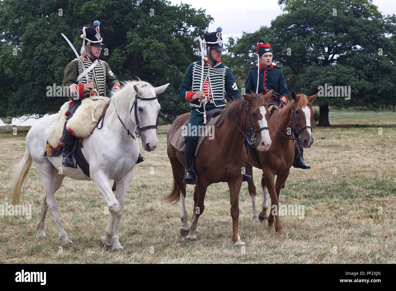 Napoleonic cavalry, with swords drawn at the reenactment of the battle ...