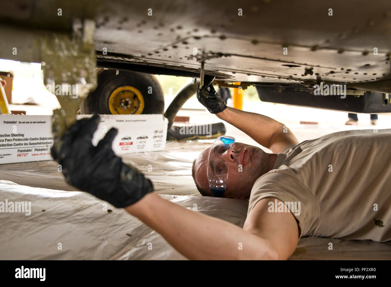 Jester master hi-res stock photography and images - Alamy