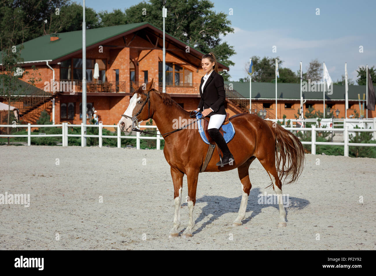 Rider elegant woman riding her horse outside Stock Photo - Alamy