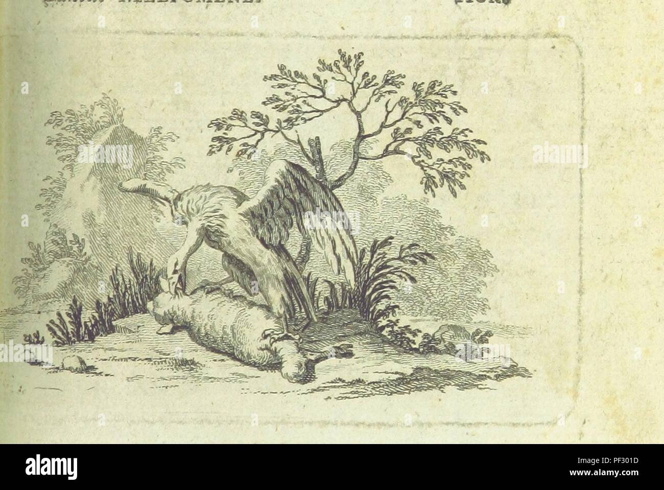 Cleone hi-res stock photography and images - Alamy