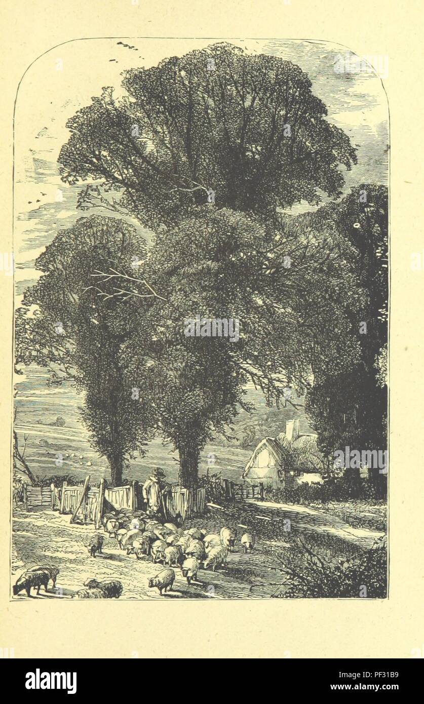 Image from page 29 of 'Illustrated Songs and Hymns for the little ones ...