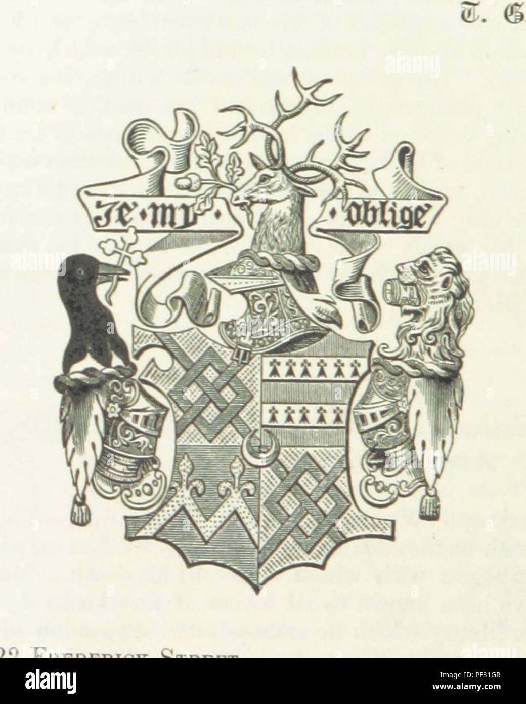 Beltrees hi-res stock photography and images - Alamy