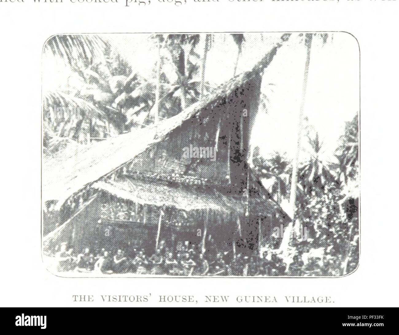 Image from page 90 of 'Through New Guinea and the Cannibal Countries ...