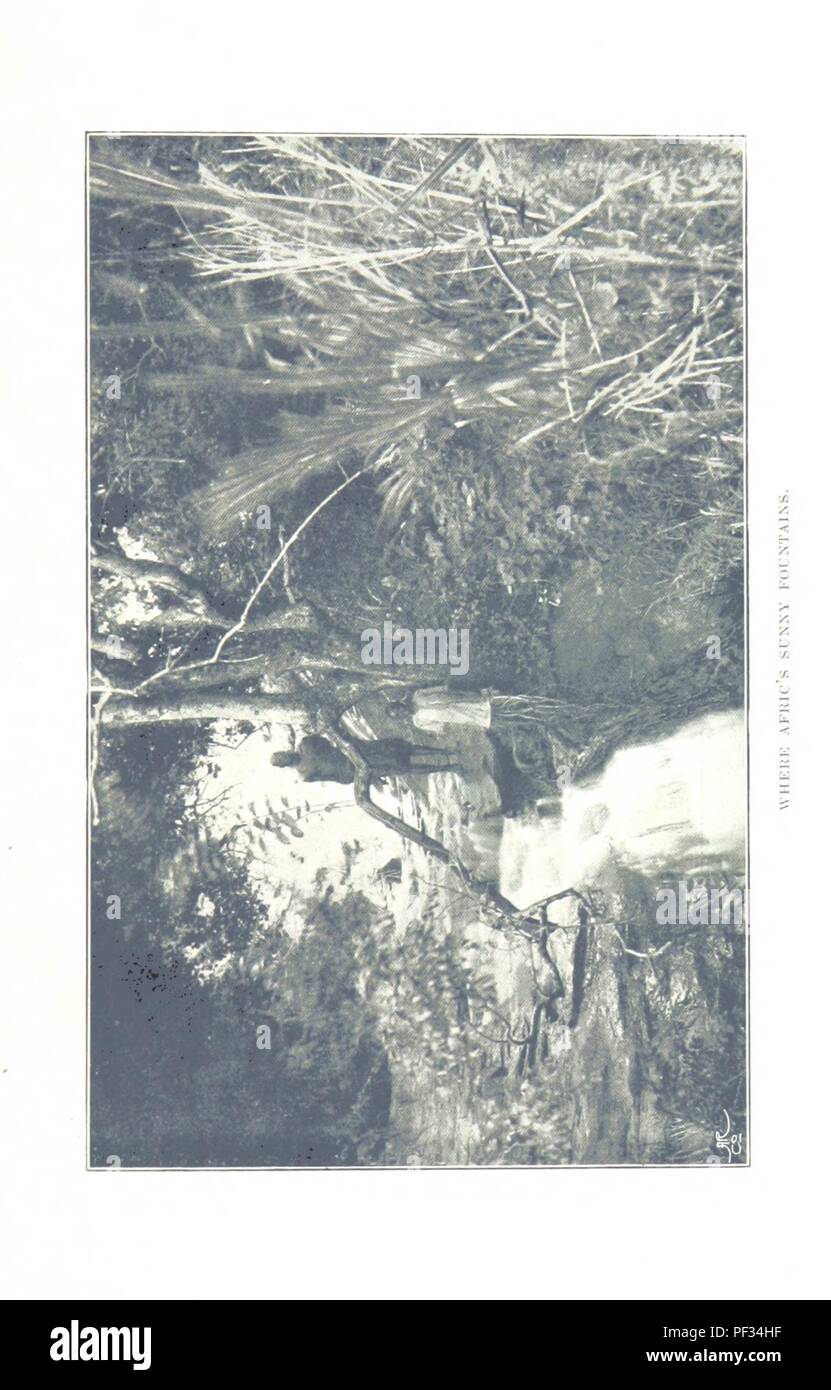 Image from page 119 of 'In Dwarf Land and Cannibal Country. A record of ...