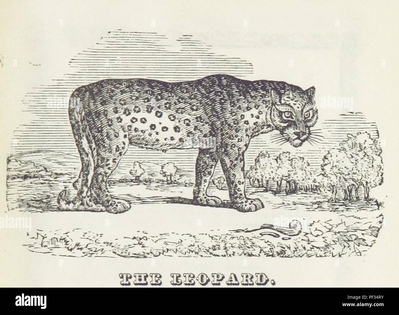 Image from page 125 of 'New nd original Poems, with notes, on Creation ...