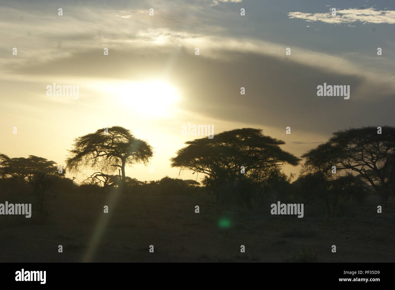 Kenya nairobi landscape hi-res stock photography and images - Alamy