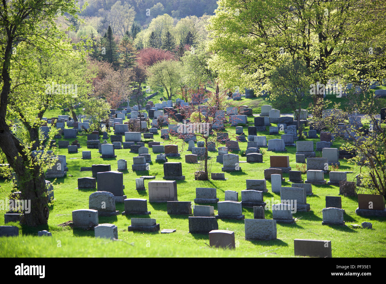 Mont Royal cemetery Montreal Quebec Canada Stock Photo - Alamy