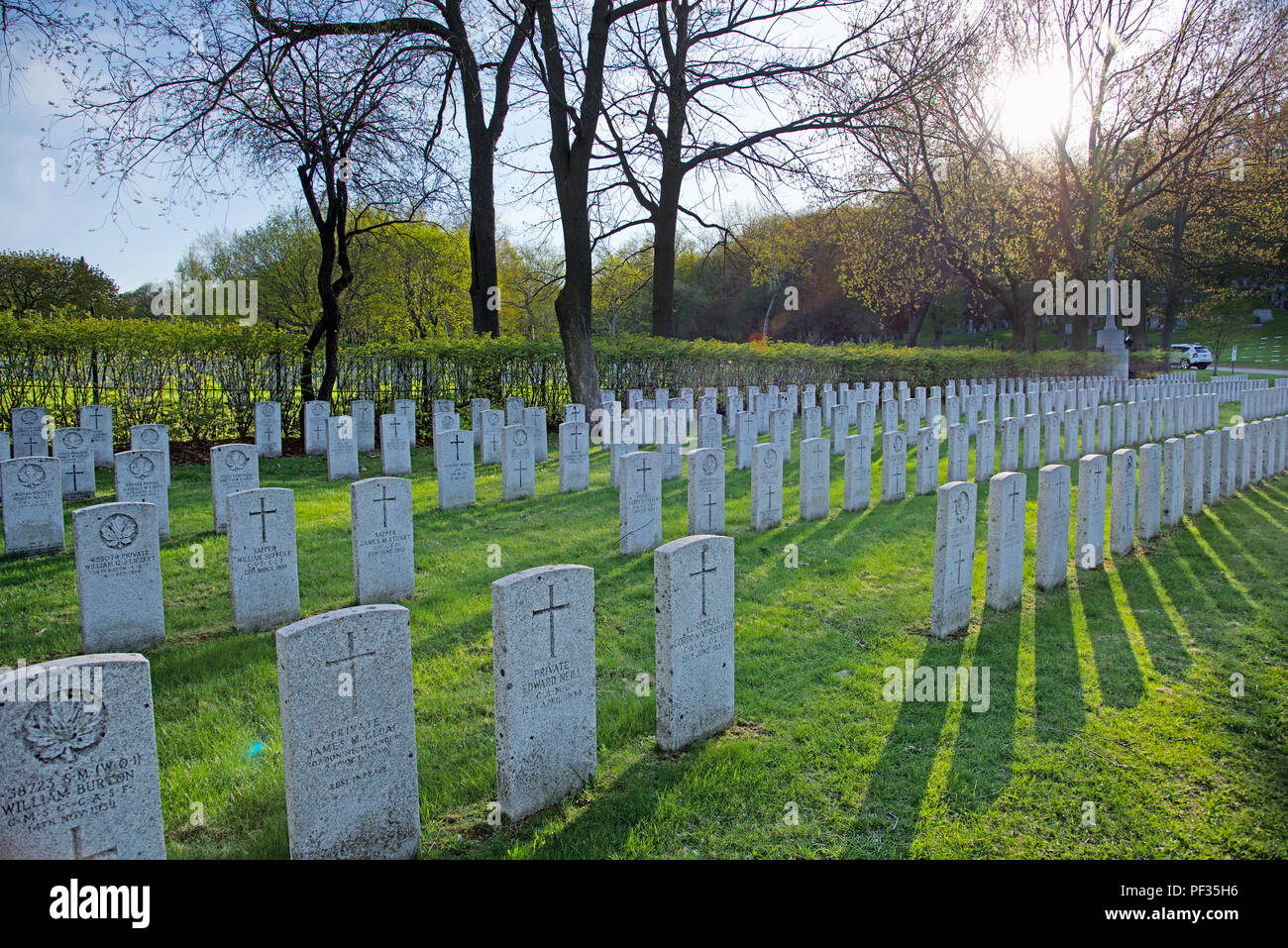 Rows of veterans crosses in Mont Royal cemetery Montreal Quebec Canada ...
