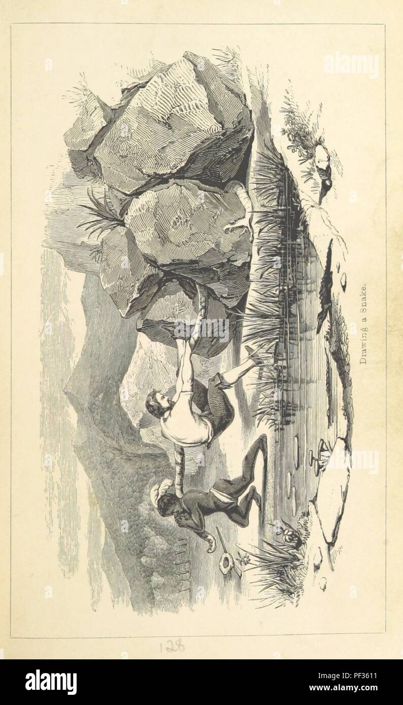 Image from page 157 of 'Five Years of a Hunter's Life in the Far ...