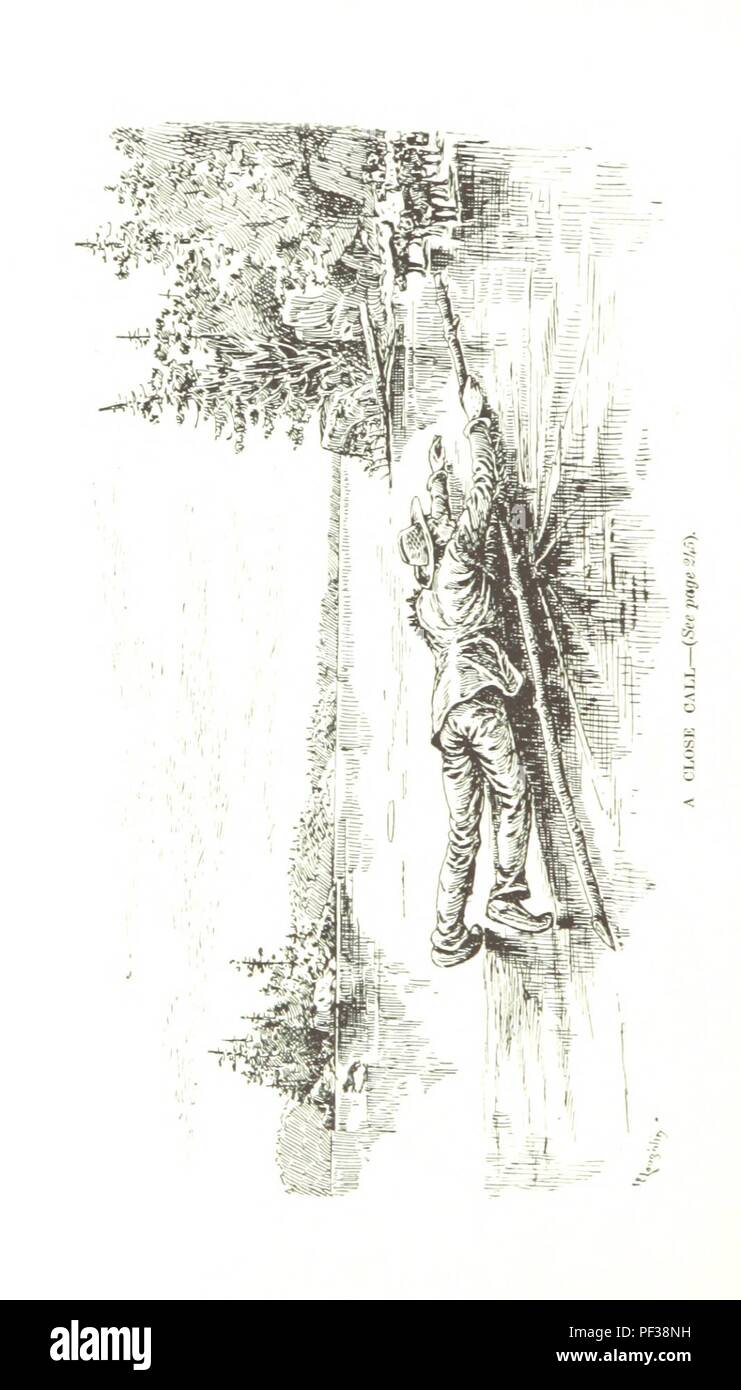 Image from page 254 of 'Forest, Lake, and Prairie. Twenty years of ...