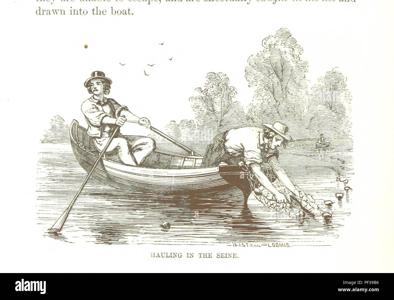 Image from page 282 of '[Scenes of wonder and curiosity in California ...