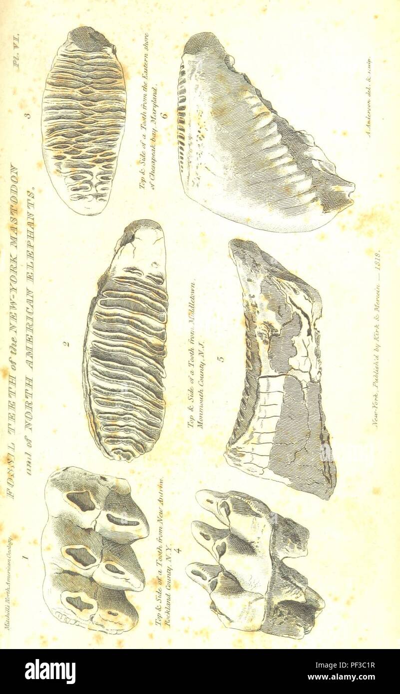 Mineralogical notes hi-res stock photography and images - Alamy
