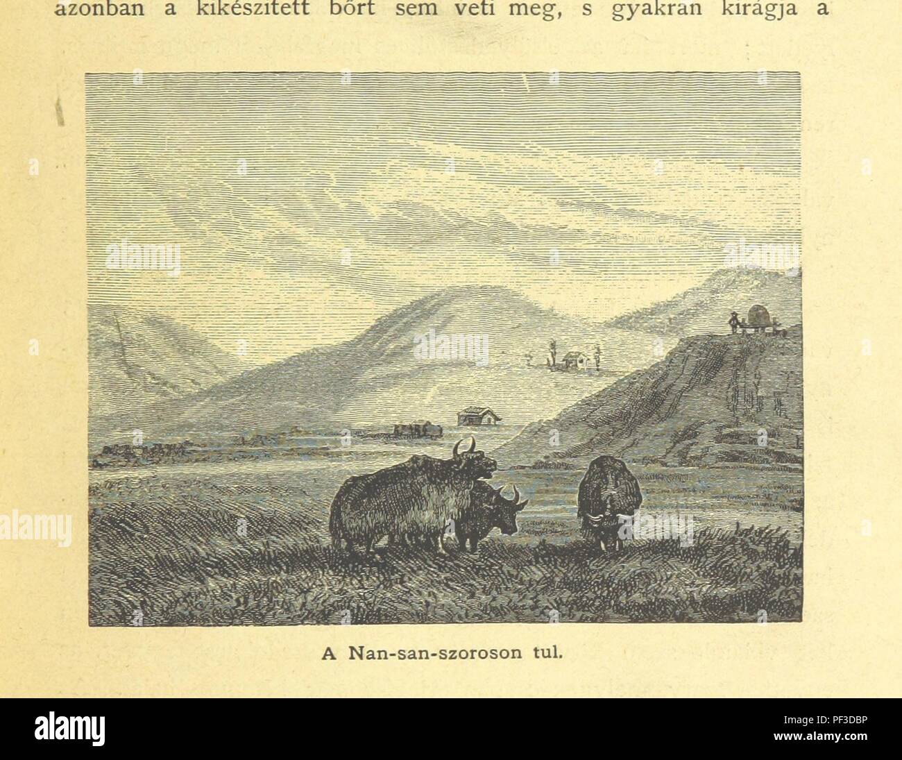 Image from page 613 of 'Gróf Széchenyi Béla keleti utazása India, Japan, China, Tibet és Birma ...