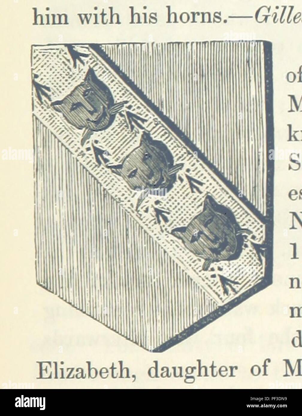Image from page 685 of 'The Local Historian's Table Book of remarkable ...