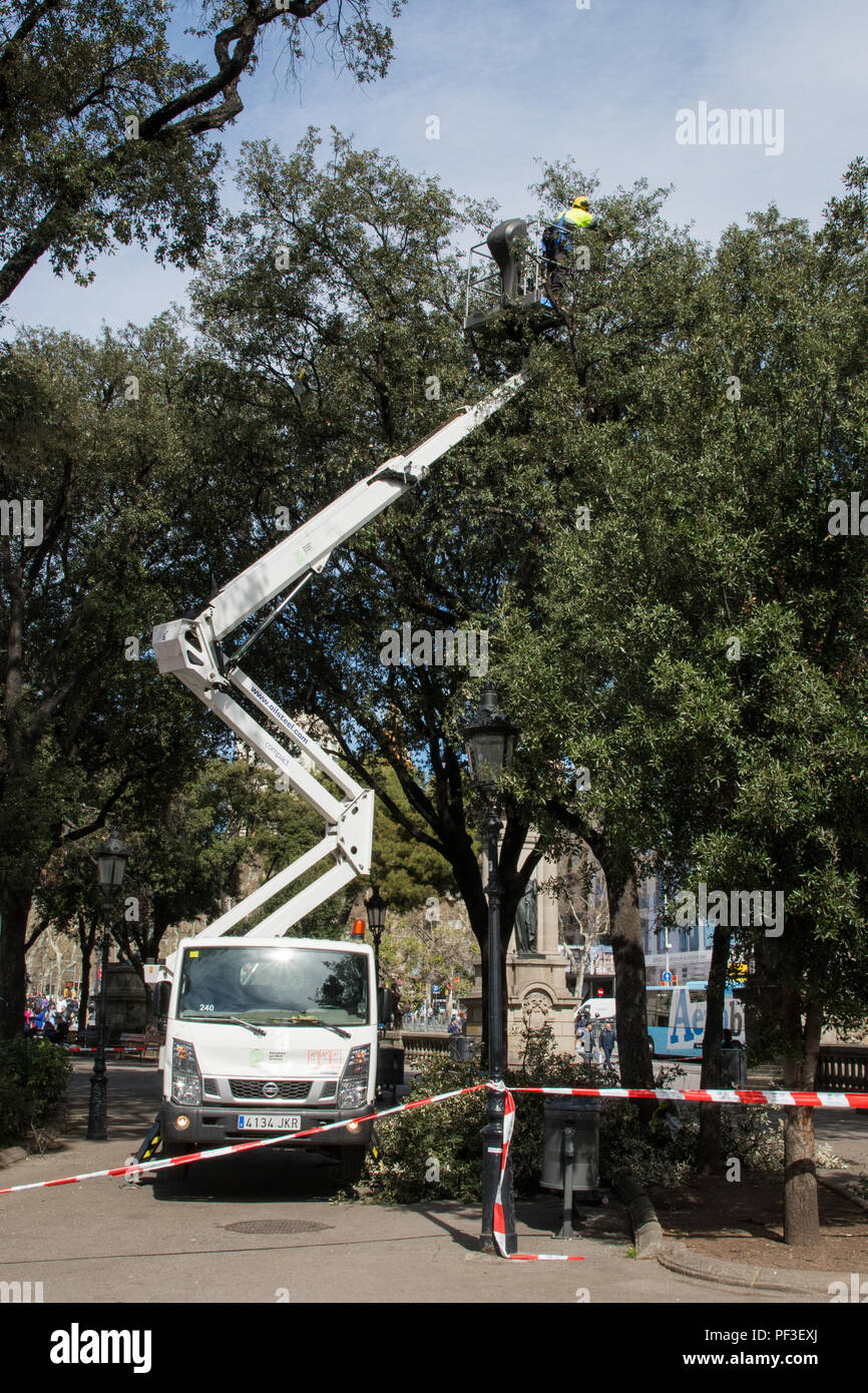 Tree cutter hi-res stock photography and images - Alamy