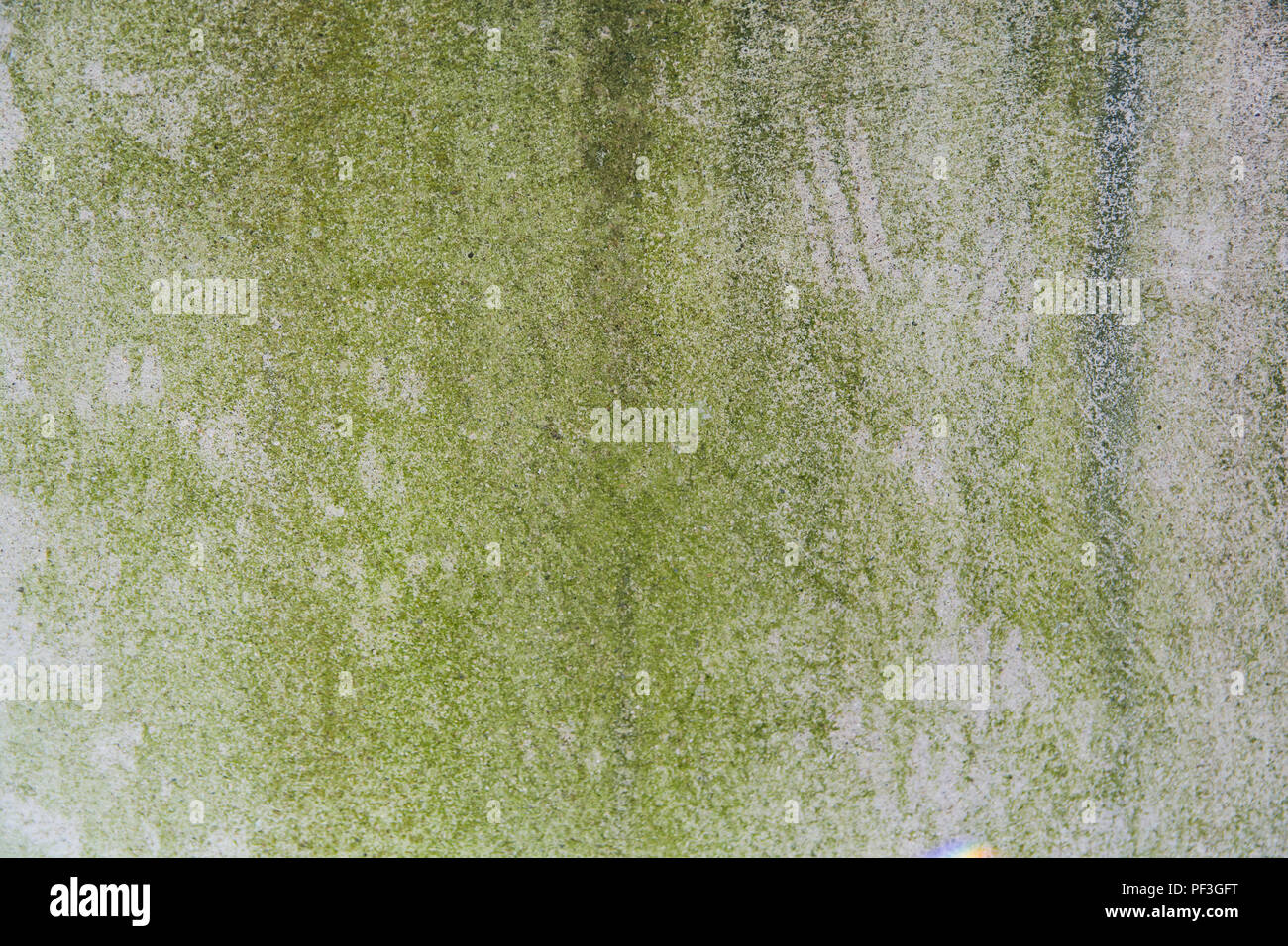 Moss on concrete wall, concrete floor background Stock Photo - Alamy