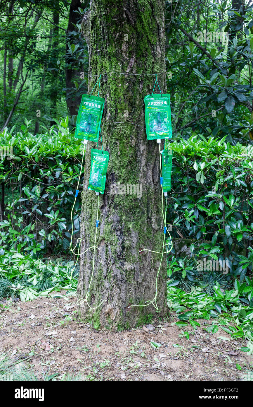 Medication receiving hi-res stock photography and images - Alamy