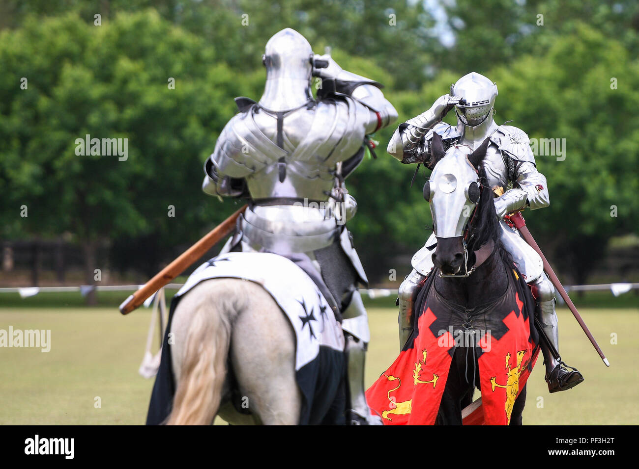 Sword salute hi-res stock photography and images - Alamy