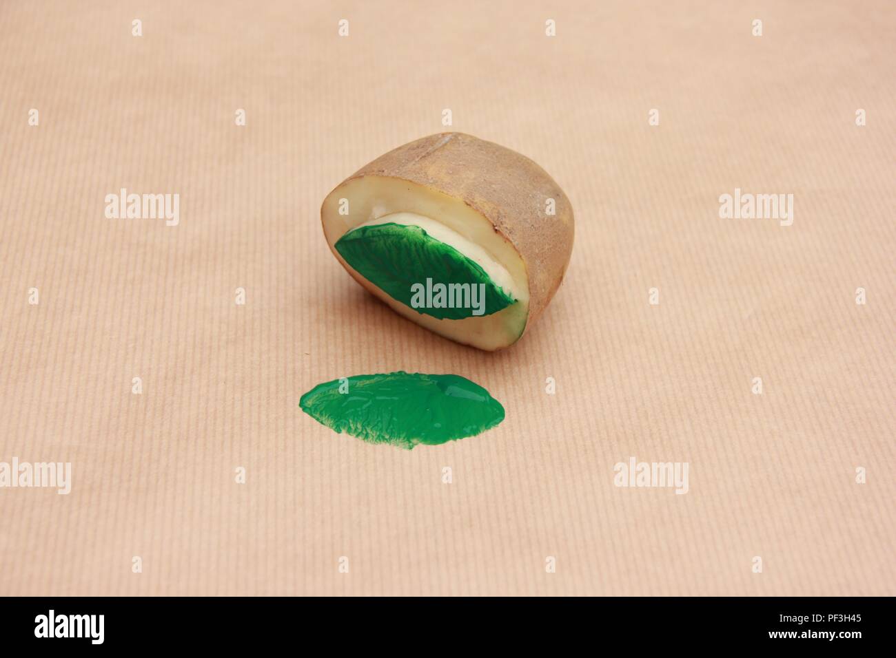 DIY potato cut out stamps craft Stock Photo - Alamy