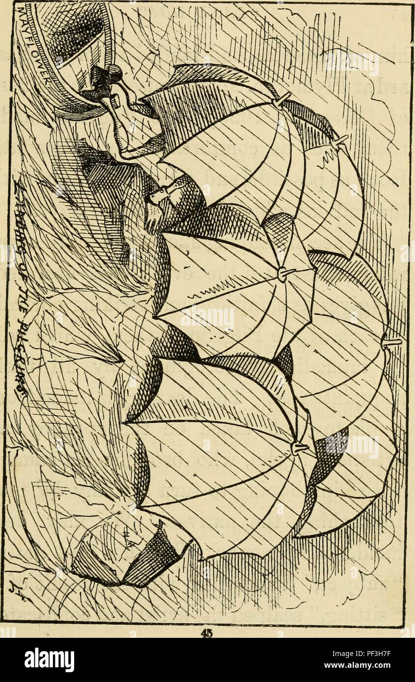 "A comic history of the United States" (1880 Stock Photo - Alamy