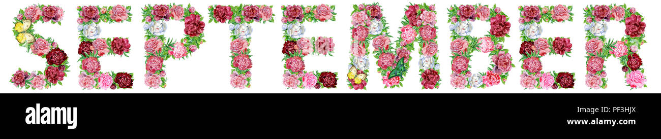 Word September of watercolor flowers Stock Photo - Alamy
