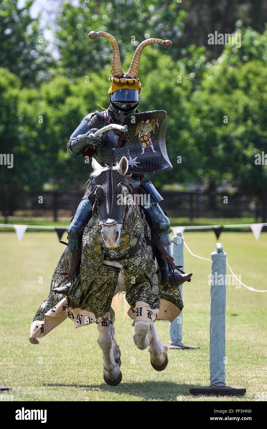 Medieval knight jousting during hi-res stock photography and images - Alamy