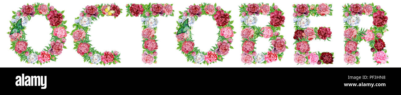Word October of watercolor flowers, isolated hand drawn on a white ...