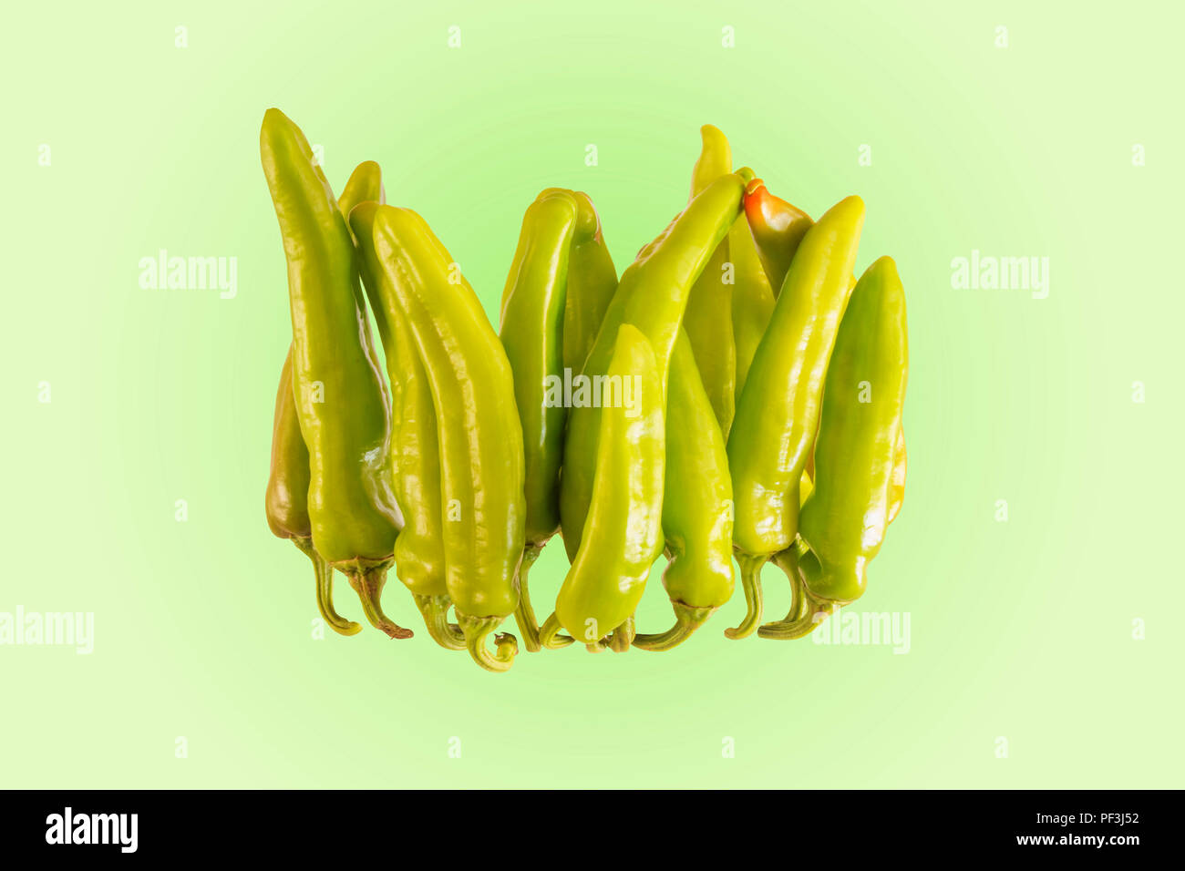 Bright Italian ch ili pepper called friggitello , studio shot ,colored ...