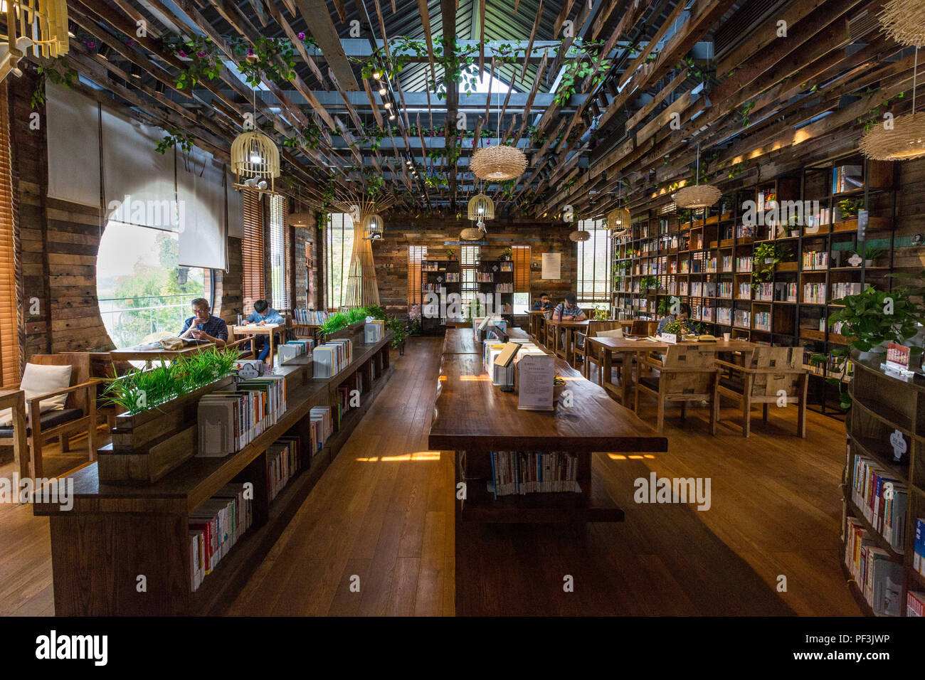 China library reading hi-res stock photography and images - Alamy