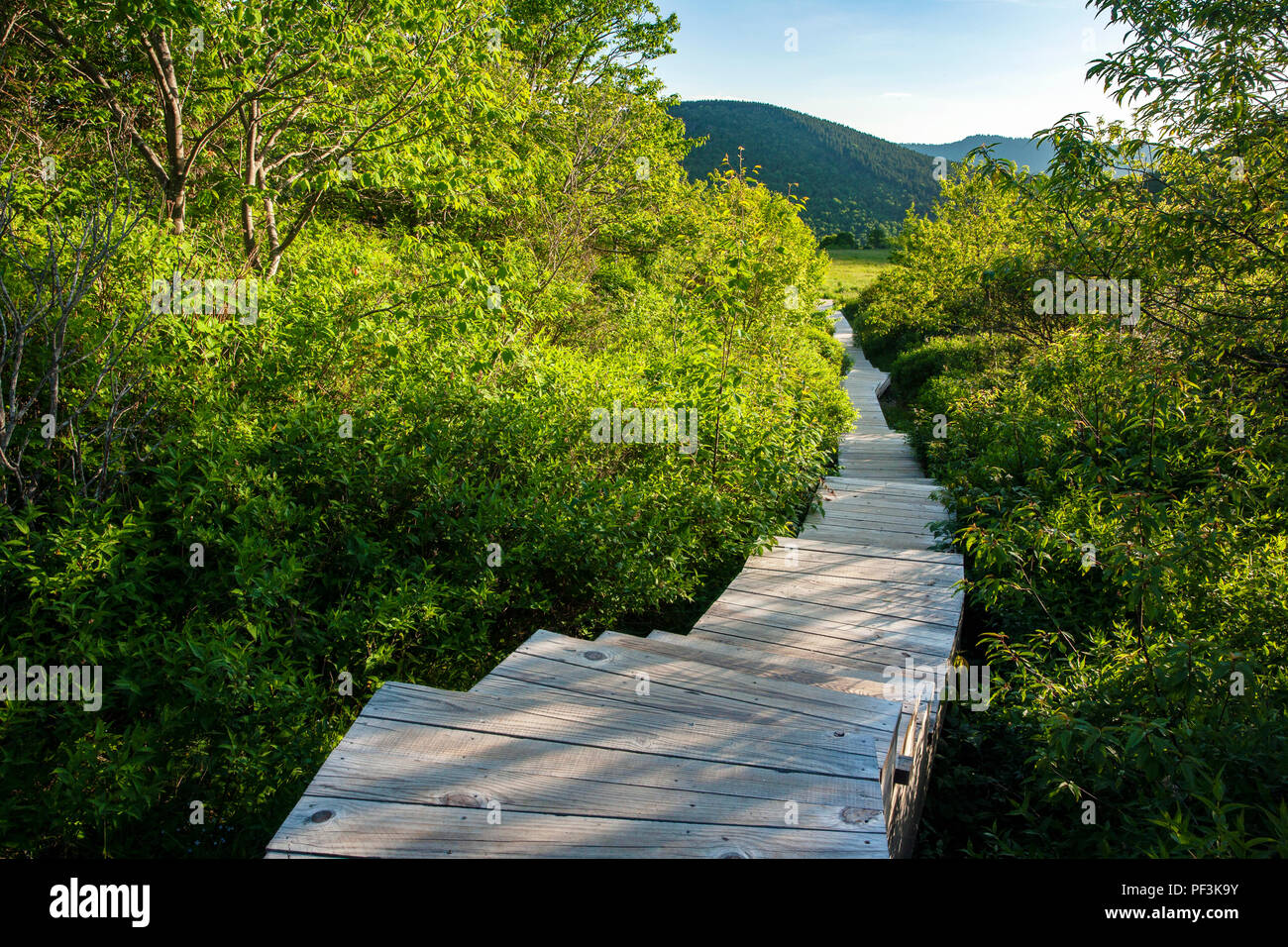 Stairway ridge trail hi-res stock photography and images - Alamy