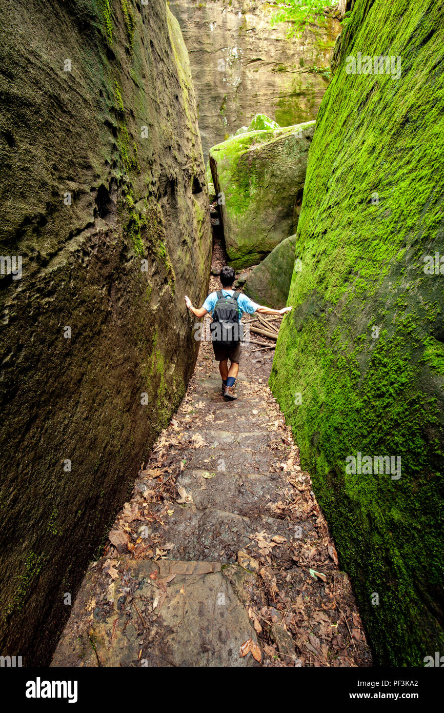 Rim Rock National Recreation Trail, Shawnee National Forest, Illinois ...