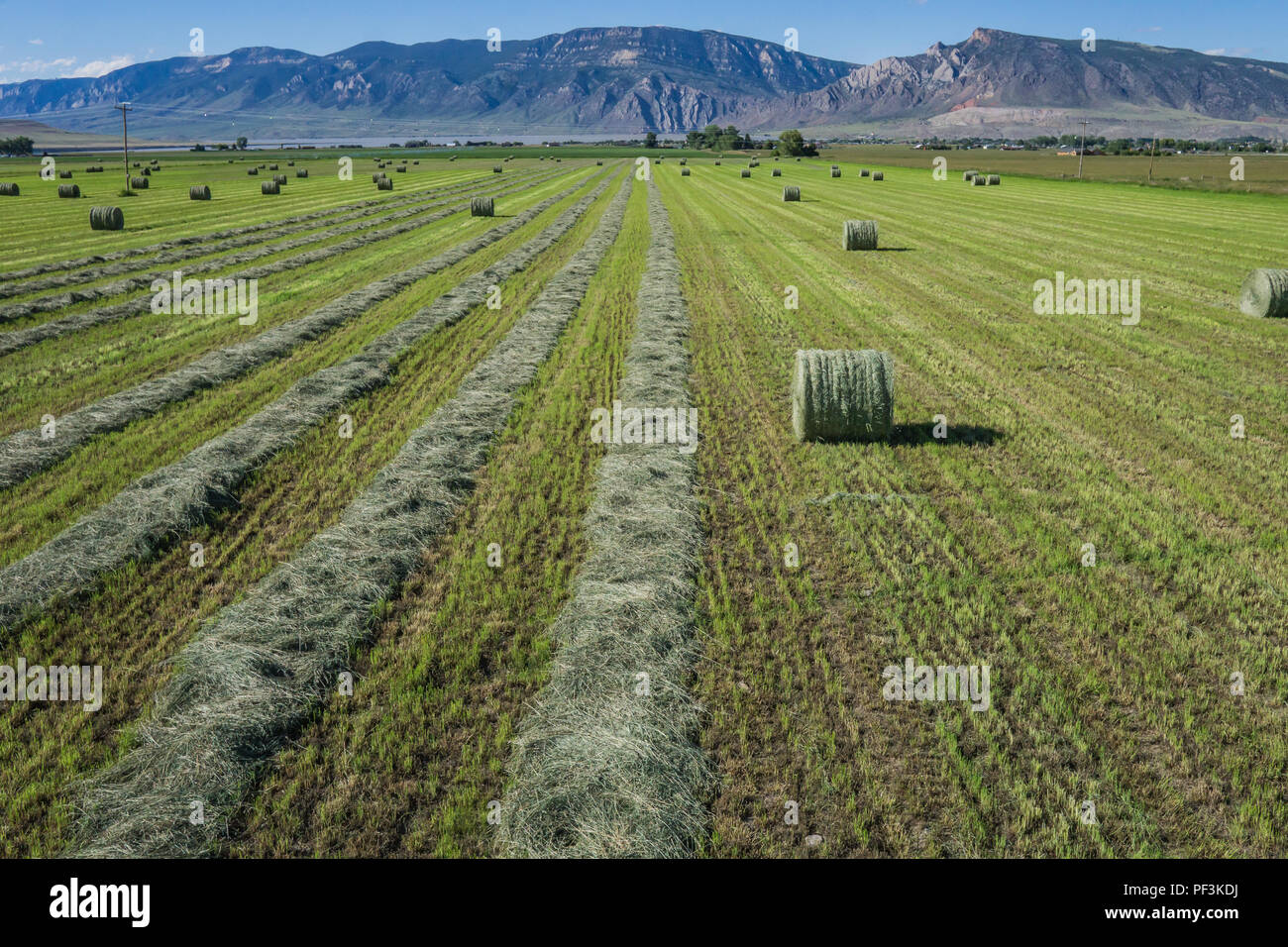 Aerial field being harvested hi-res stock photography and images - Alamy