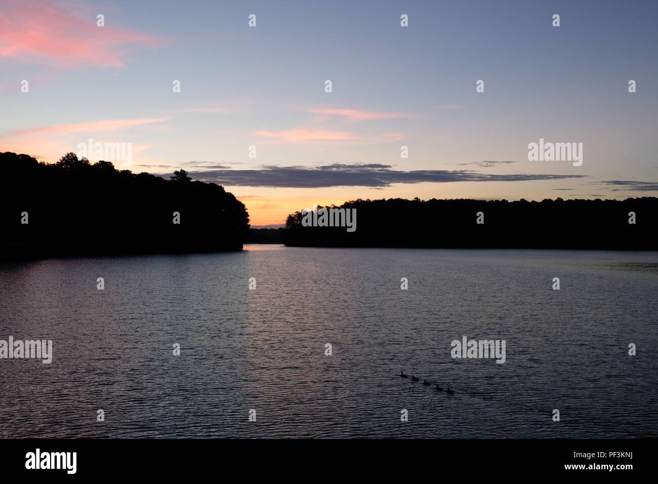 A line of ducks crosses the water in front of the sunrise at Lake ...