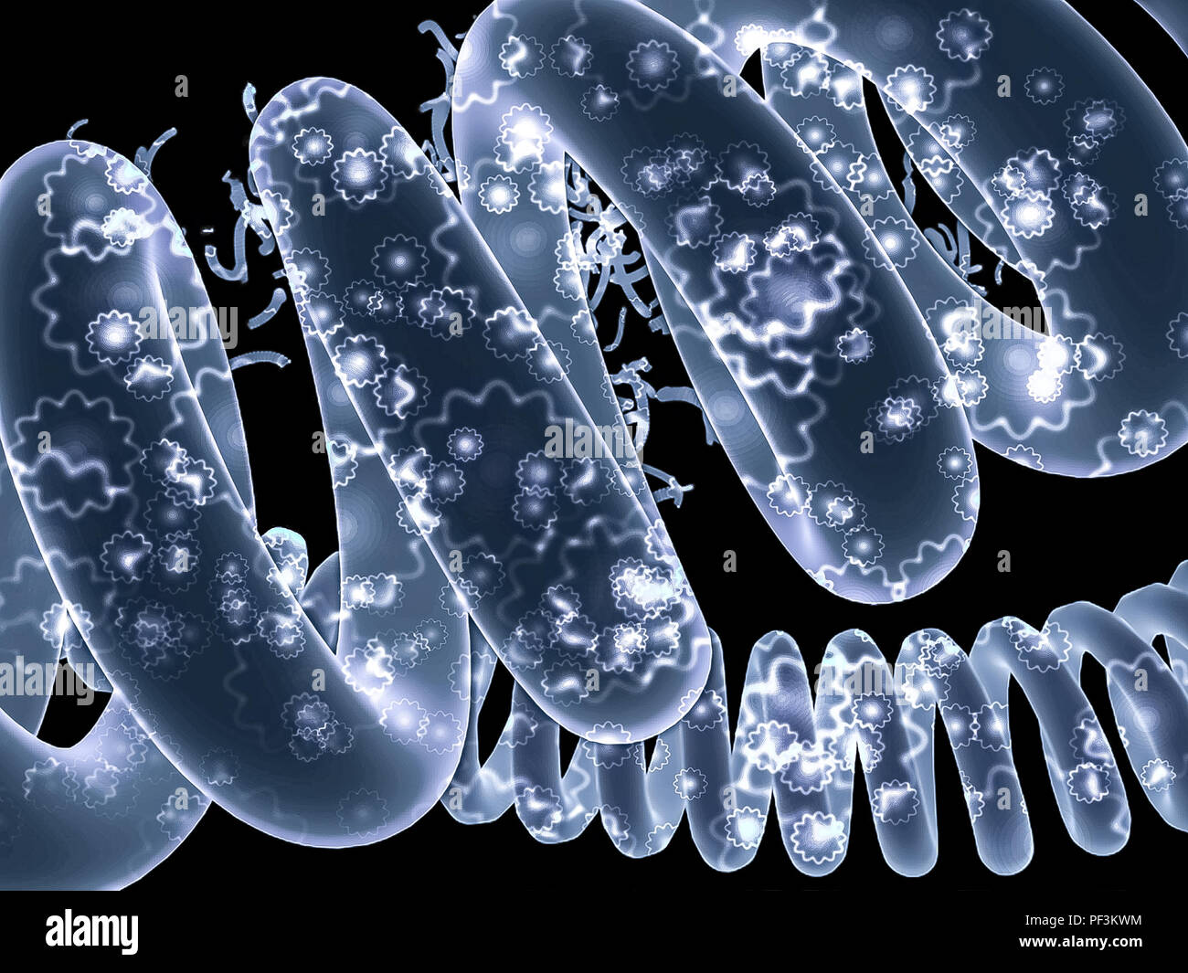 Helicoidal structures hi-res stock photography and images - Alamy