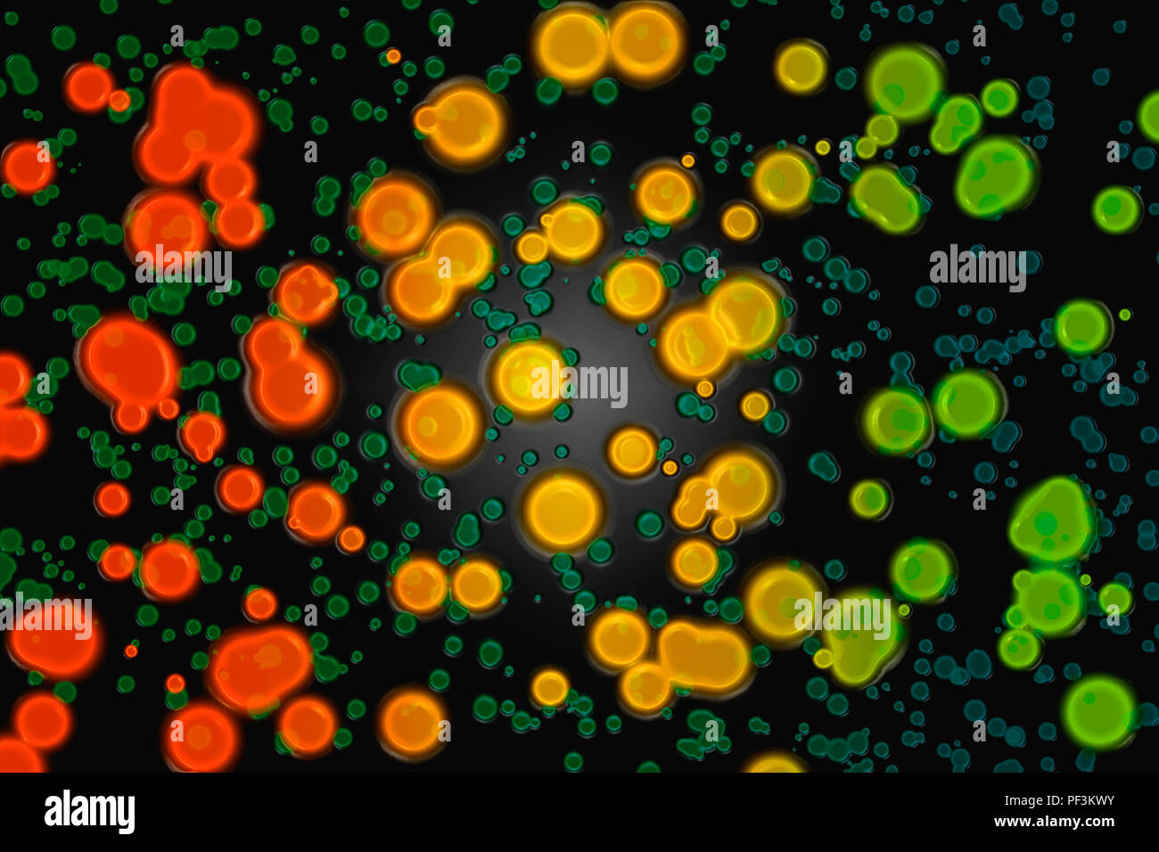 Biofilm Microorganism High Resolution Stock Photography and Images - Alamy